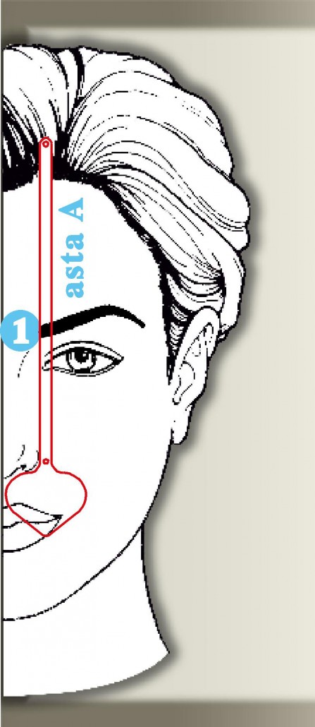 How to trace the correct eyebrow shape - Eyebrow Tracer