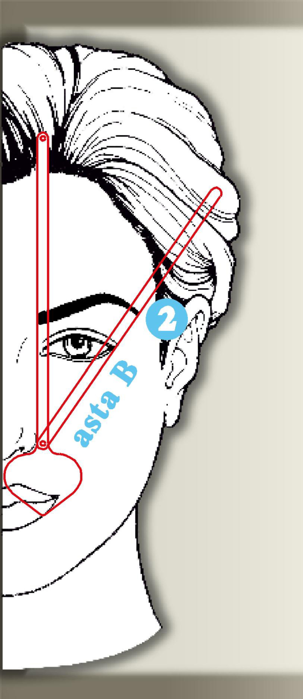 How to trace the correct eyebrow shape - Eyebrow Tracer