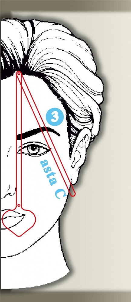 How to trace the correct eyebrow shape - Eyebrow Tracer