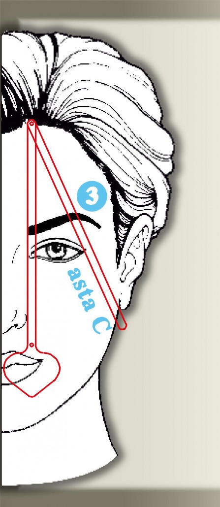 How to trace the correct eyebrow shape - Eyebrow Tracer